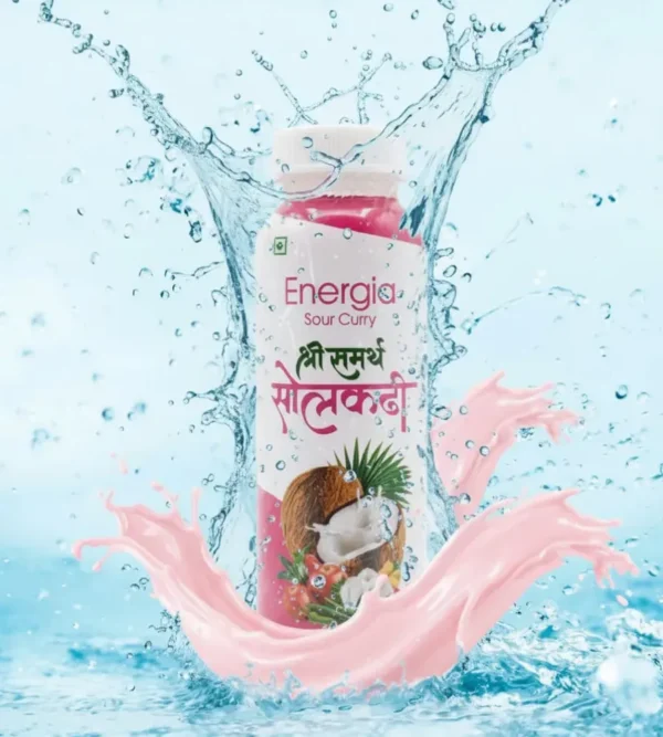 Solkadhi – Shree Samarth Solkadhi